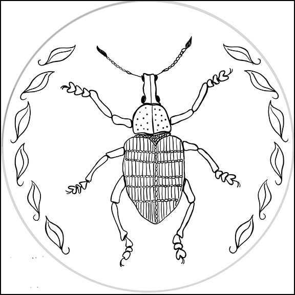 Embroidery Kit: All Buggy - Weevil – Lyric Art